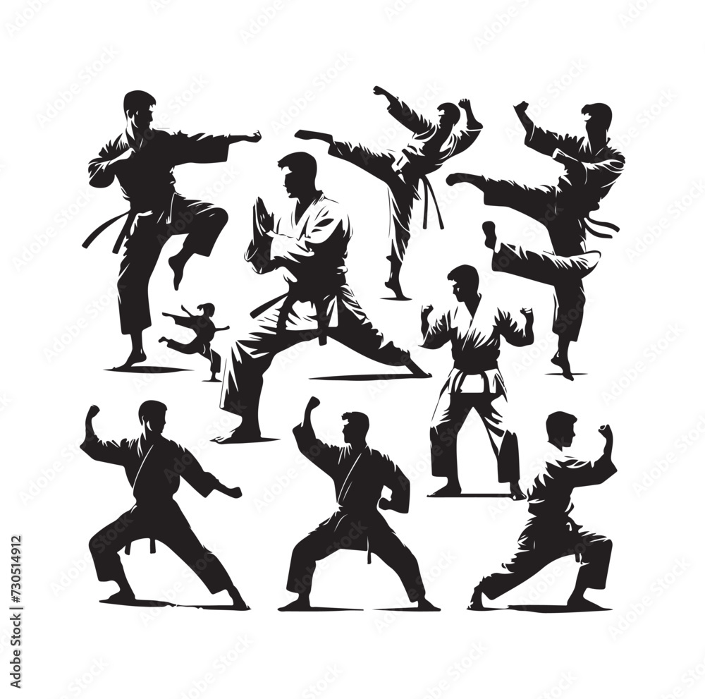 martial art Vector or karate silhouettes vector illustration Japan and ...