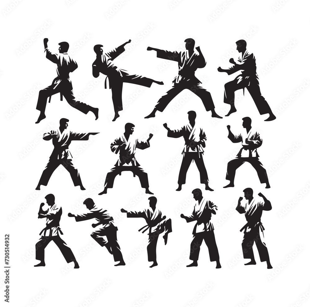 martial art Vector or karate silhouettes vector illustration Japan and ...