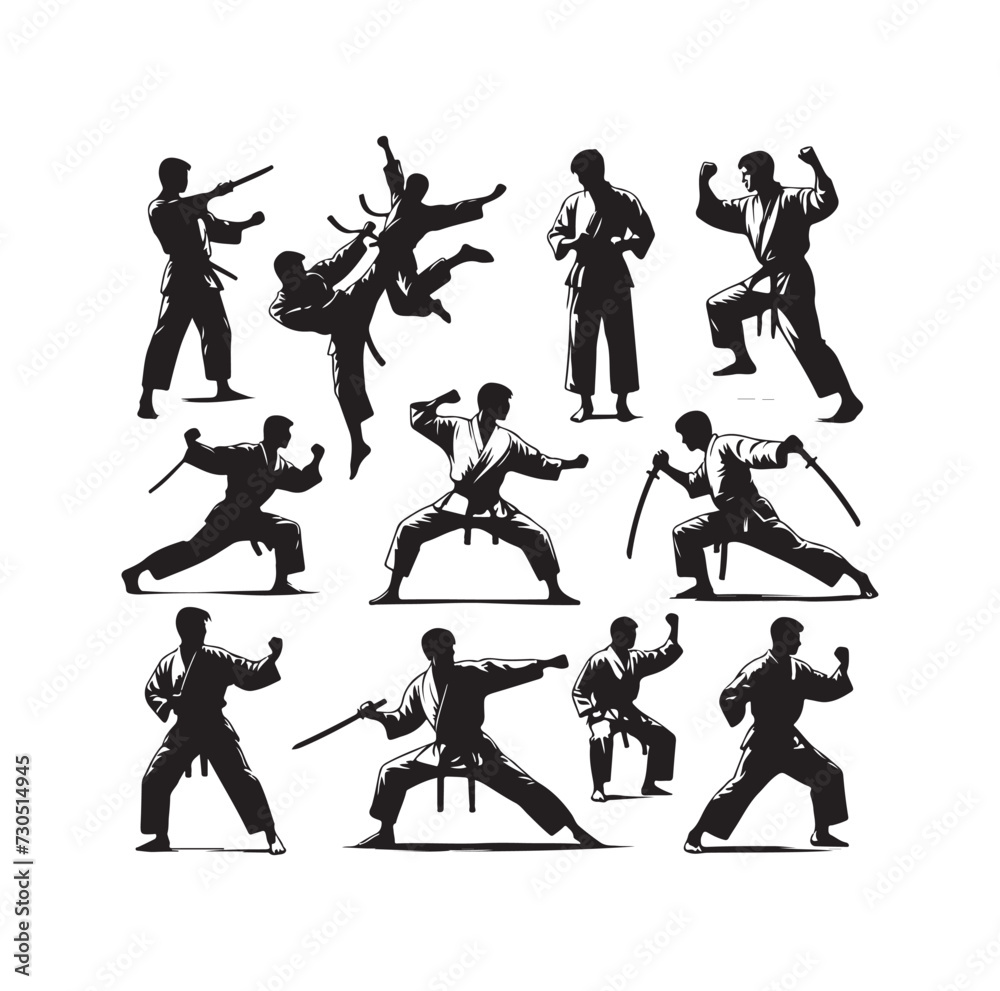 martial art Vector or karate silhouettes vector illustration Japan and ...
