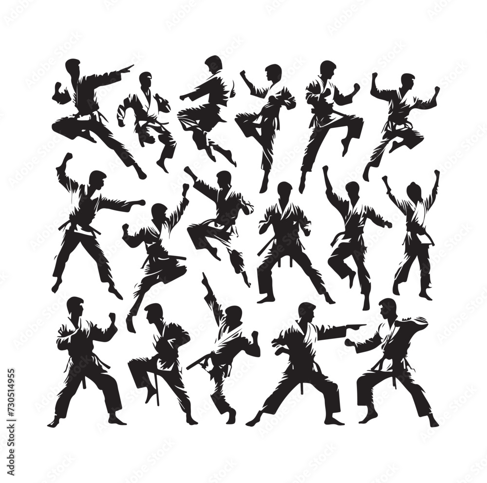 martial art Vector or karate silhouettes vector illustration Japan and ...