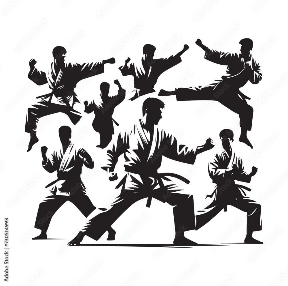 martial art Vector or karate silhouettes vector illustration Japan and ...