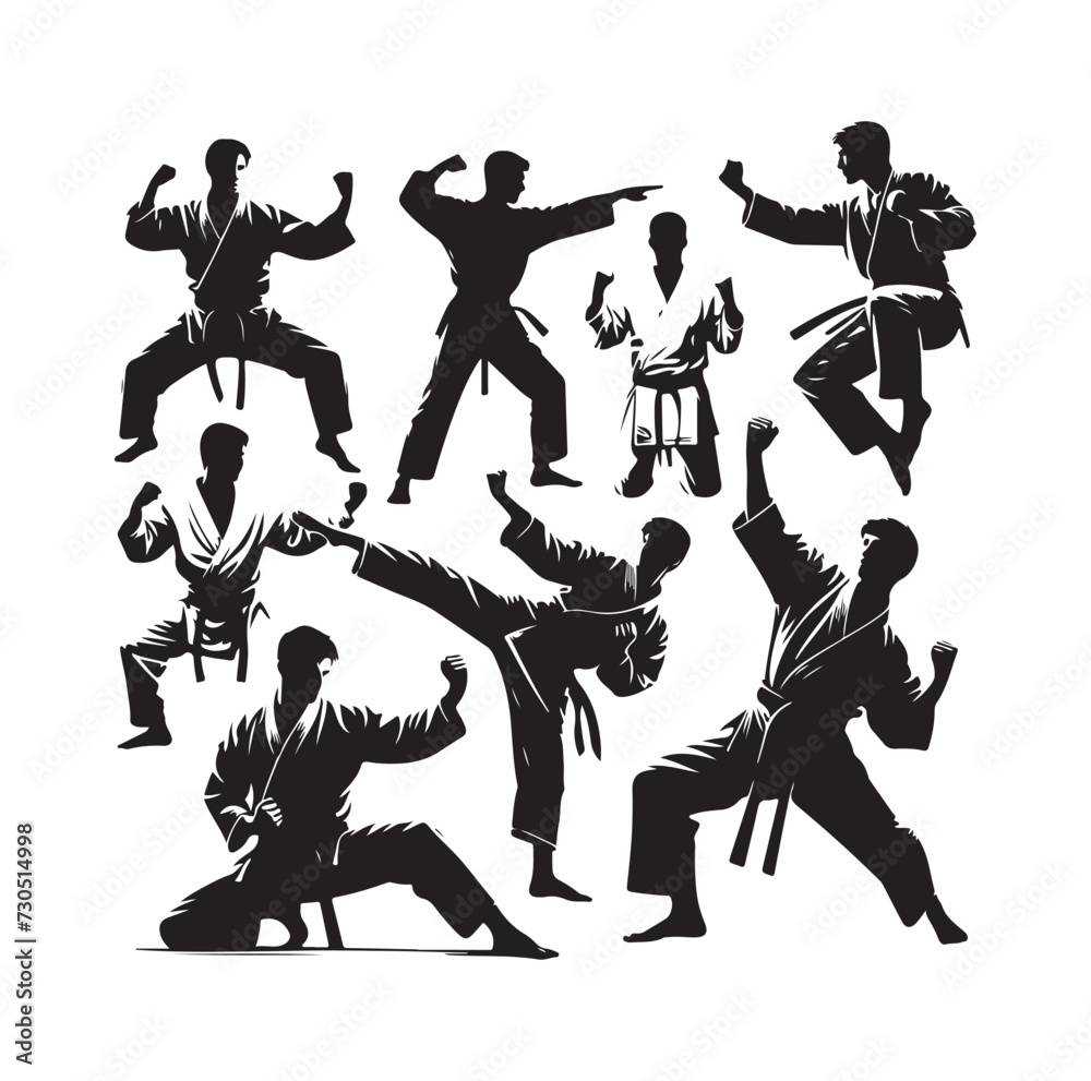 martial art Vector or karate silhouettes vector illustration Japan and ...