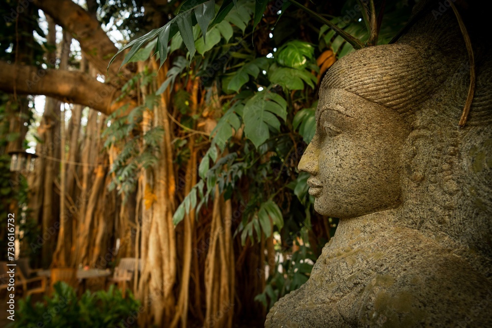 Stone sculpture of Goddess Laxmi, Banyan tree, Tamil Nadu, India, Asia ...