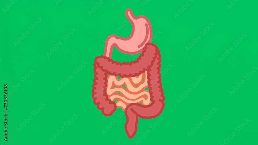 Green Screen Digestive System, A Digestive Adventure: Stomach Small ...