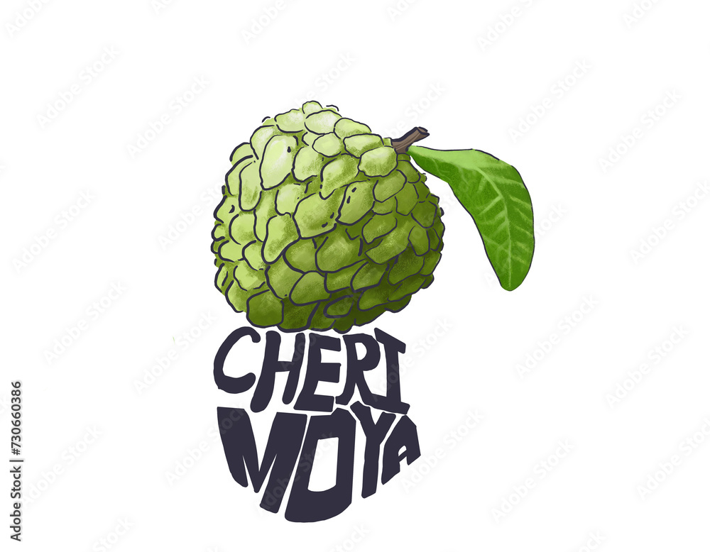 illustration of a Cherimoya Hand draw vector illustration of a ...