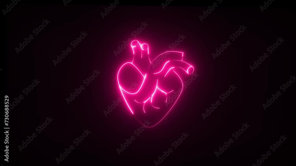 Human heart, a bright neon heart. Blood is ejected from left ventricle ...