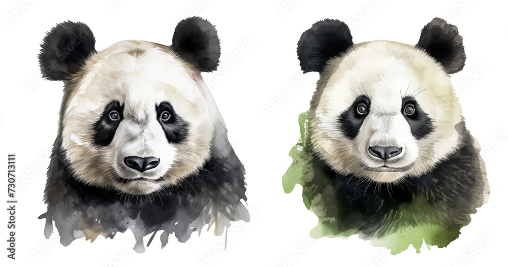 Set of two Panda portraits on isolated transparent background ...