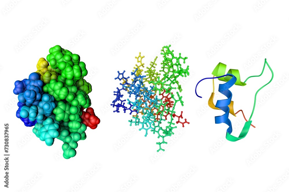 NMR Structure of single-chain insulin. Ribbons diagram and molecular ...
