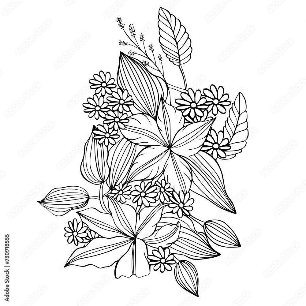 Clematis flower drawing. Hand drawn flower outline. botanical ...