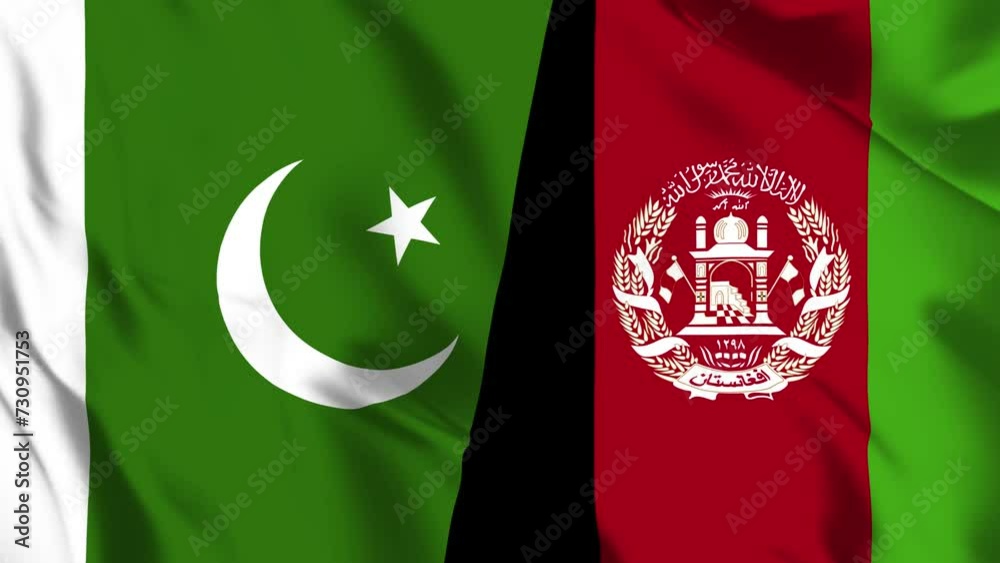 Vidéo Stock Pakistan and Afghanistan Flag waving in loop and seamless ...