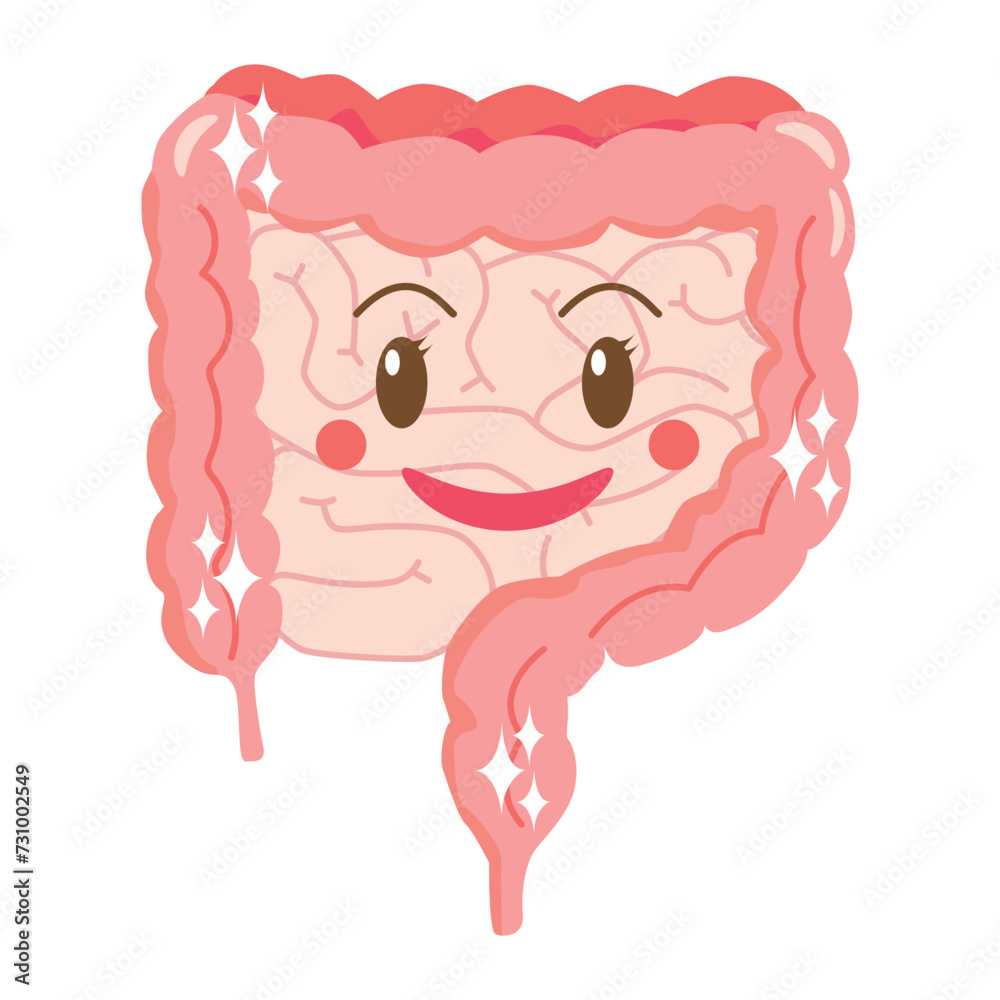 Smiling stomach or healthy Large intestine and colon cartoon vector ...