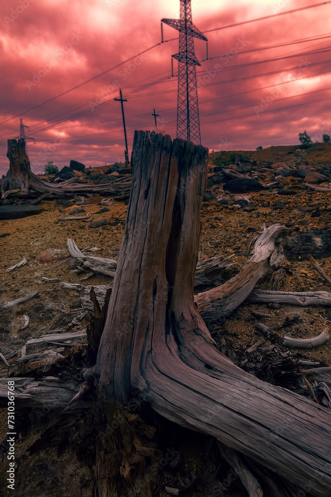 Depleted Earth. This is what the planet of the future will look like if ...