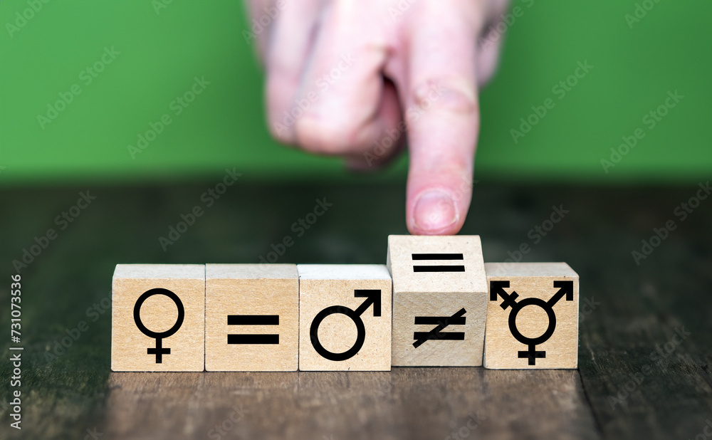 Symbol for gender equality. Hand turns a wooden cube and changes a ...