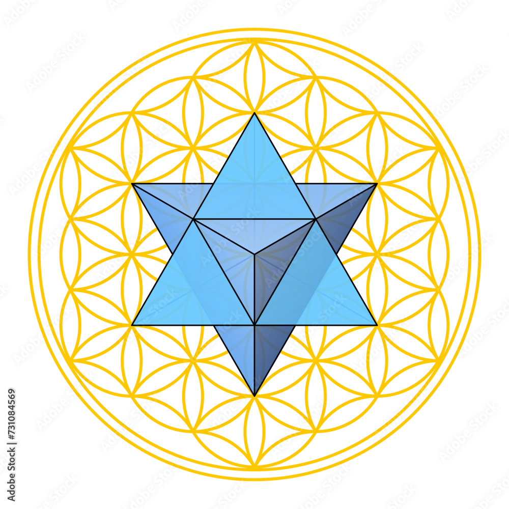 Flower of Life with Merkaba, Sacred Geometry. Star tetrahedron, a ...
