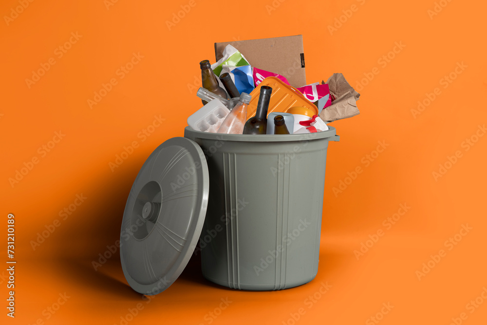 Trashcans, unsorted waste in plastic trash bins. Stock Photo | Adobe Stock