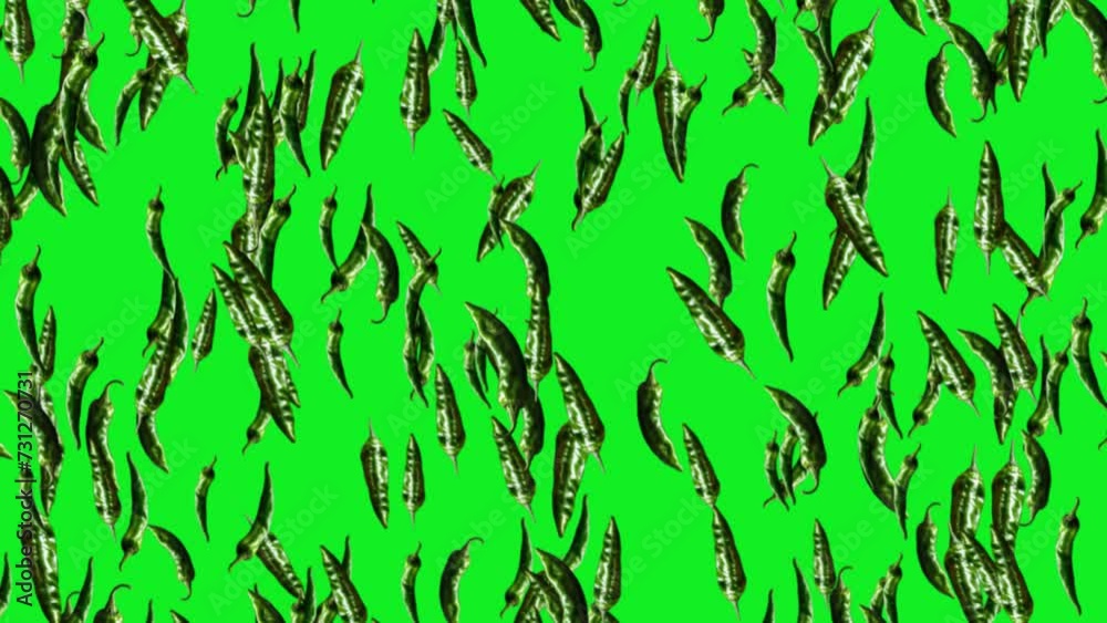 Green Chili Falling Animation On Green Screen Background. Falling Chili ...