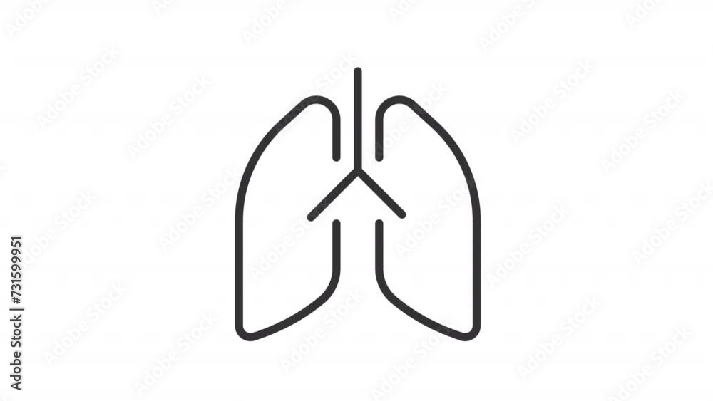 Animated lungs icon. Respiratory system line animation. Human anatomy ...