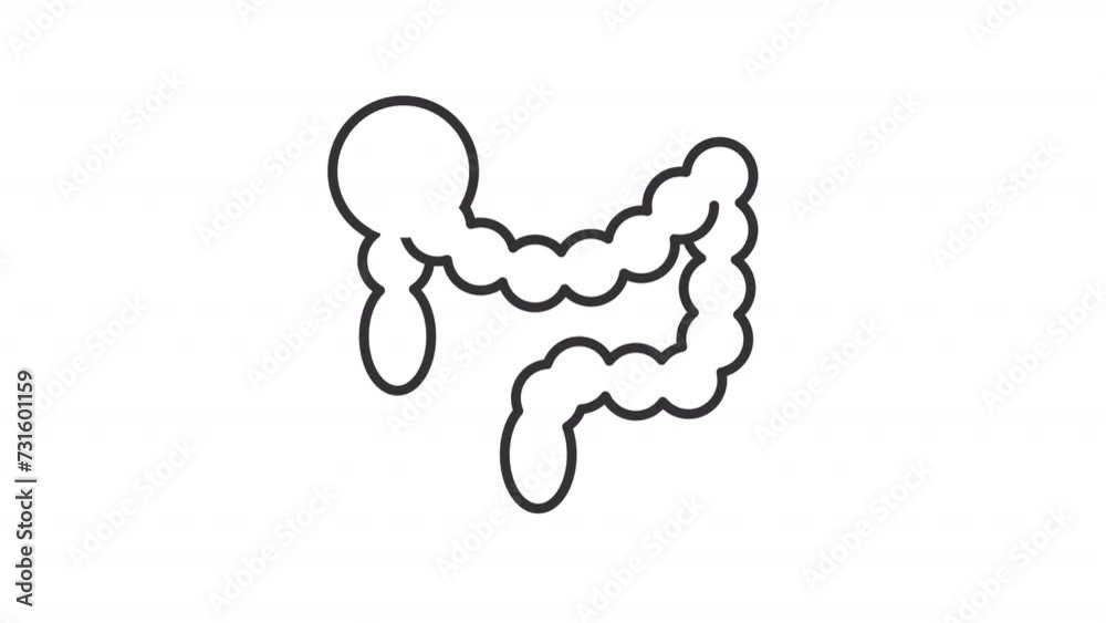 Animated bowel icon. Large intestine line animation. Human anatomy ...