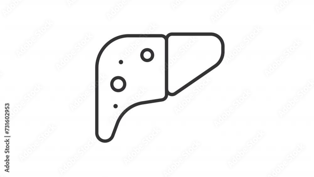 Vidéo Stock Animated liver icon. Digestive system line animation ...