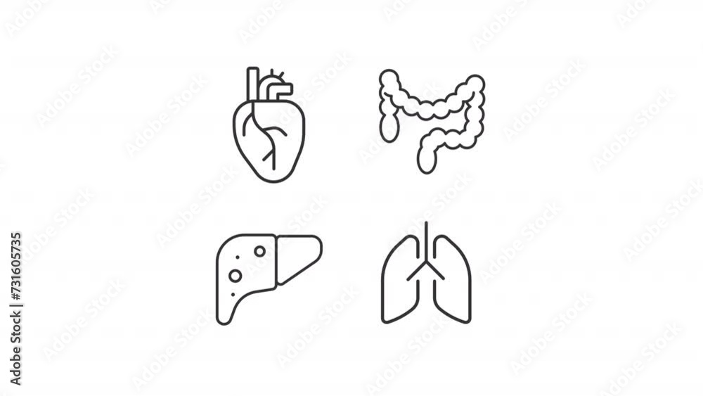 Animated internal organs icons. Body parts line animation library ...