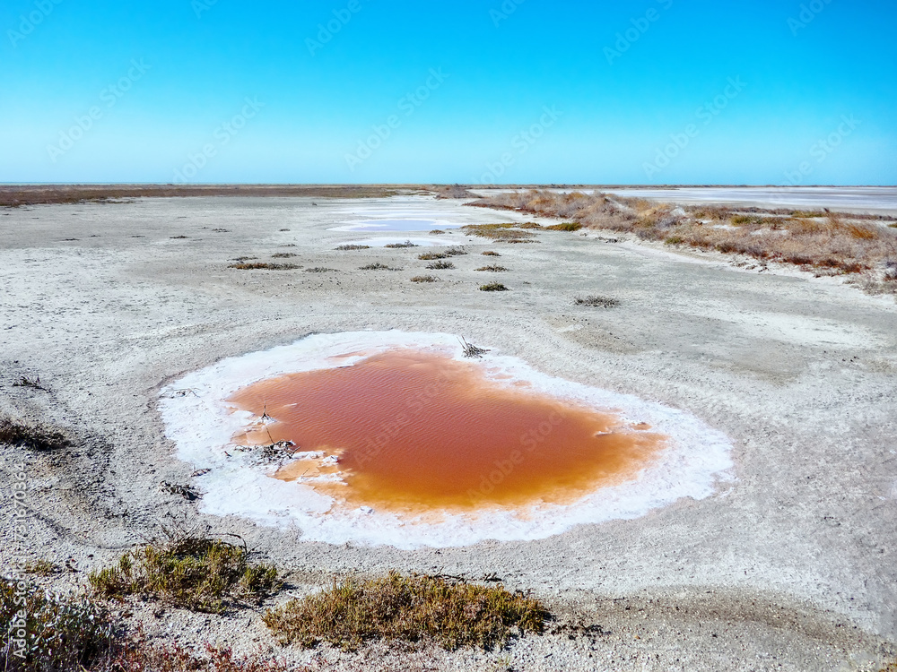 Subsidence funnels on salt marsh are filled with lakes of diverse ...
