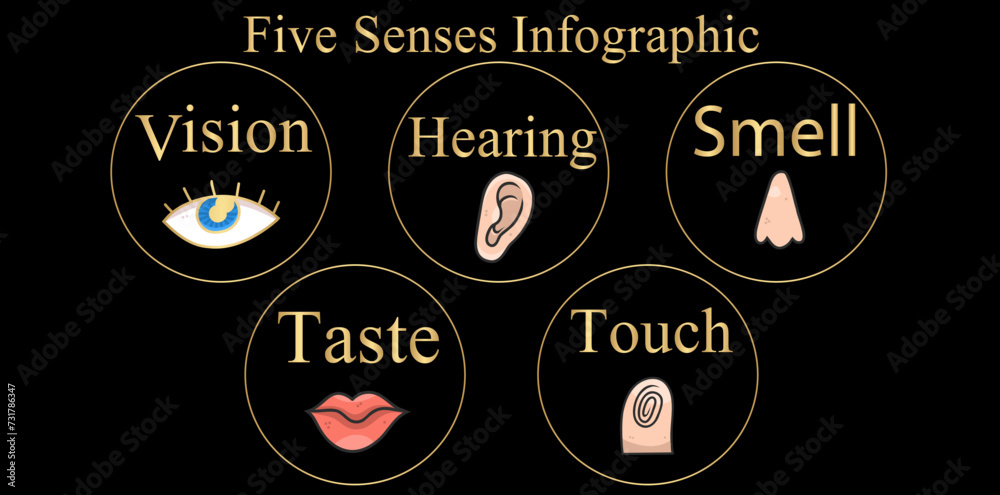 Types Of Perception Icons, Five Human Senses Vision, Hearing, Smell ...