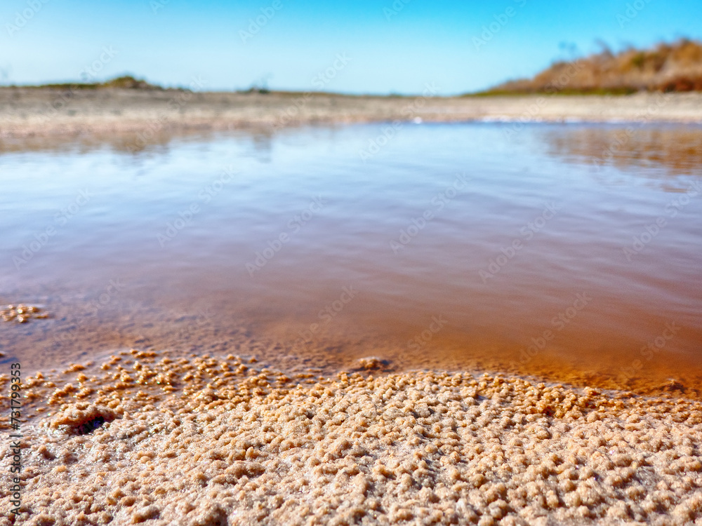 Mineralogy. Shore of hypersalted lake with deposition of salt crystals ...
