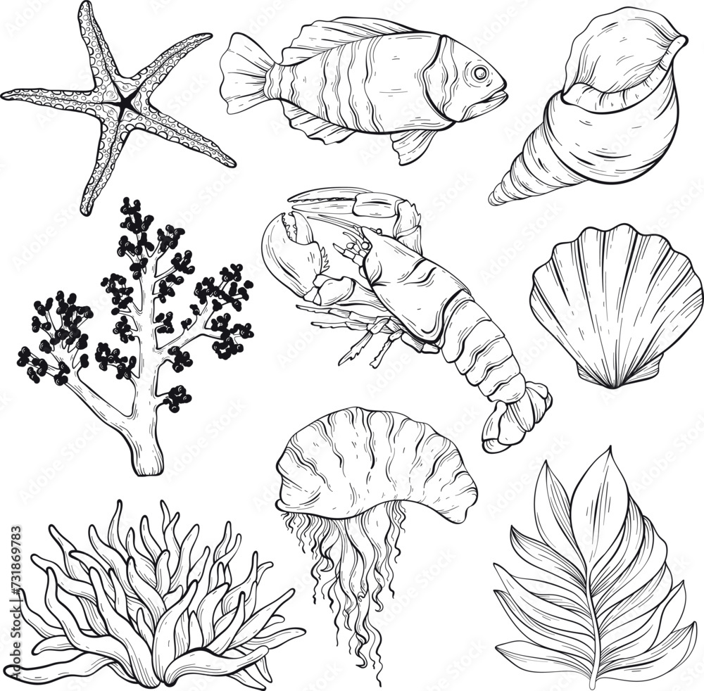 Vector outline sea creatures set. Stock Vector | Adobe Stock