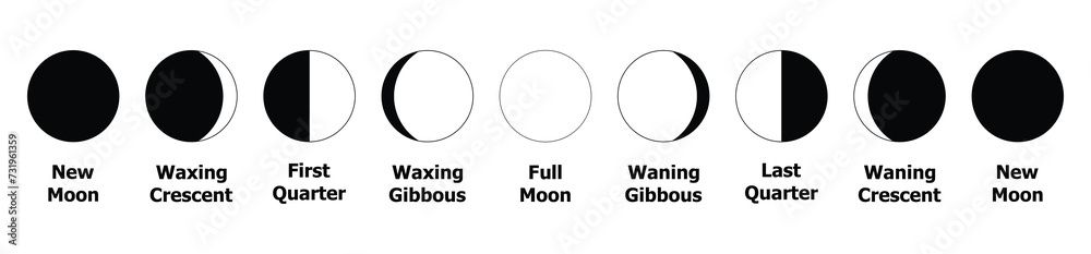 Phases of the Moon. Lunar phase icon vector set. Black silhouette ...