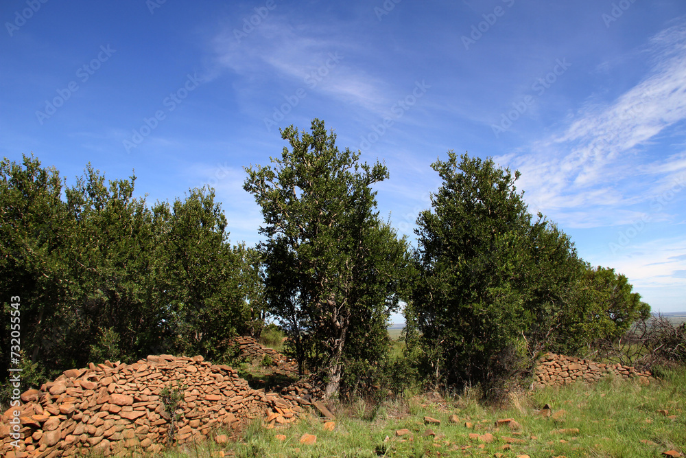 Willem Pretorius Reserve is the preserved ruins and artefacts of an old ...