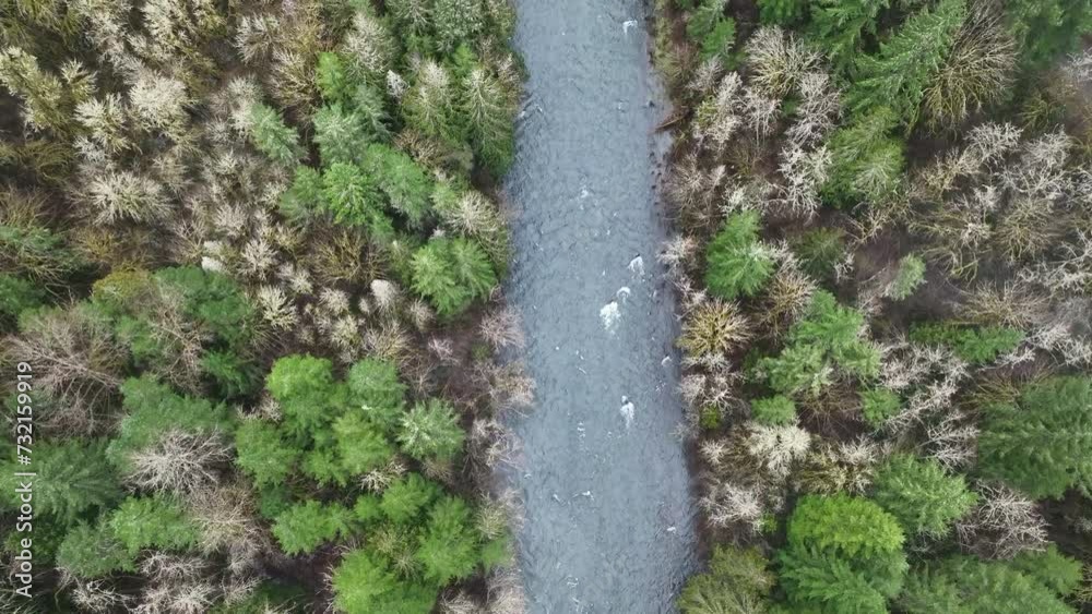 Not far south of Portland, Oregon, the Molalla River flows through ...