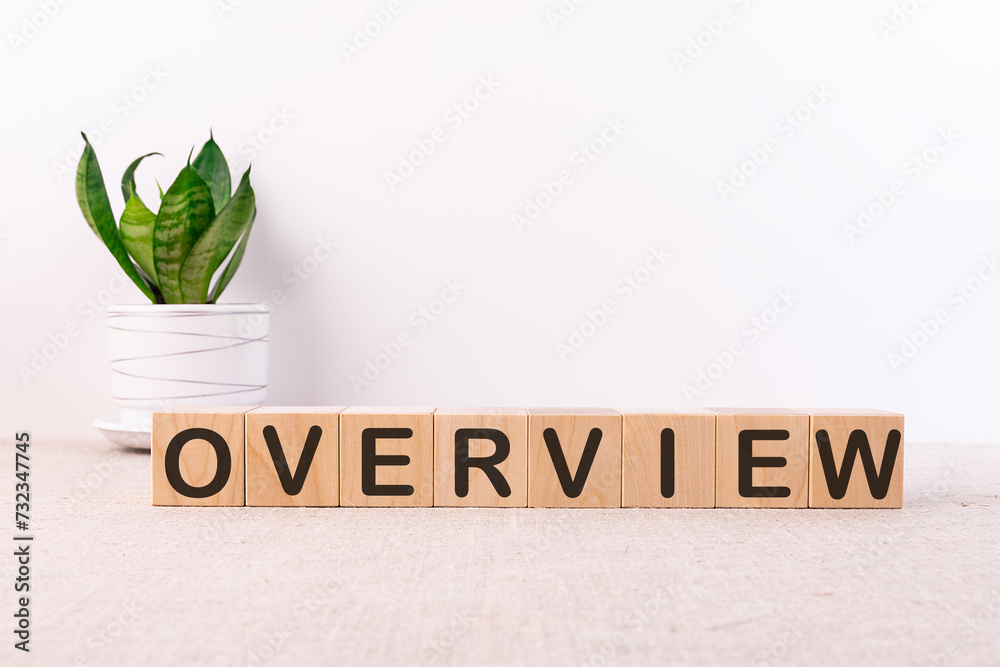 OVERVIEW word made with building blocks on a light background Stock ...
