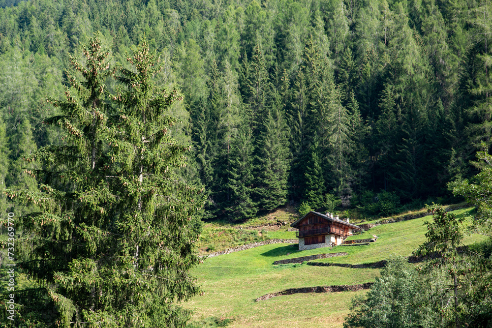 Val di Rabbi Valley of the Dolomites famous for its Tibetan bridges and ...