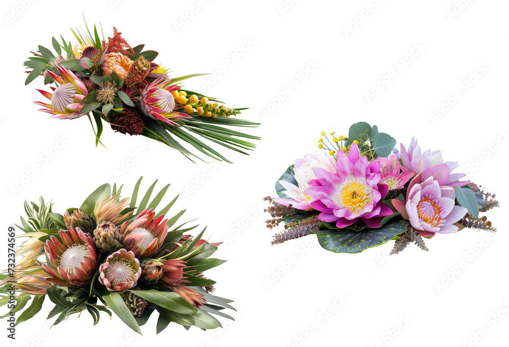 Exotic bouquet, design with proteas, kangaroo paws, and palm leaves for ...