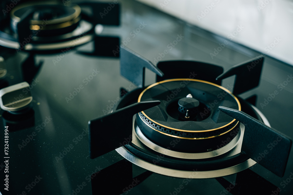 Luxurious black and gold stove top an opulent choice for high-end ...