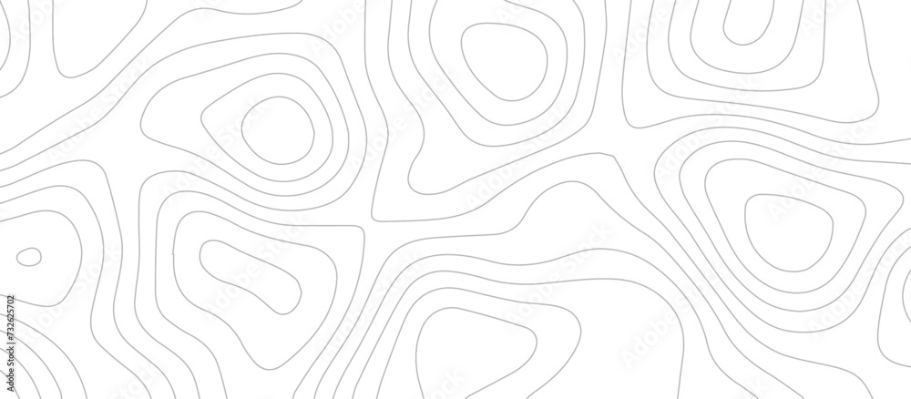 Abstract topographic Contour Map Subtle White Vector Background . Blank ...