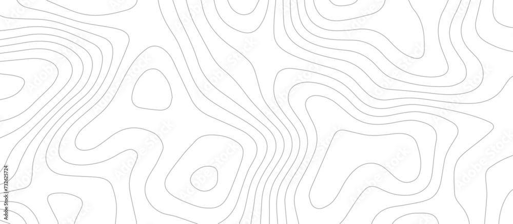 Abstract topographic Contour Map Subtle White Vector Background . Blank ...