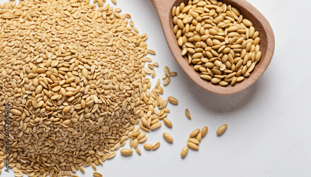Sesame Seed is a plant that belongs to the Pedaliaceae family and is a ...