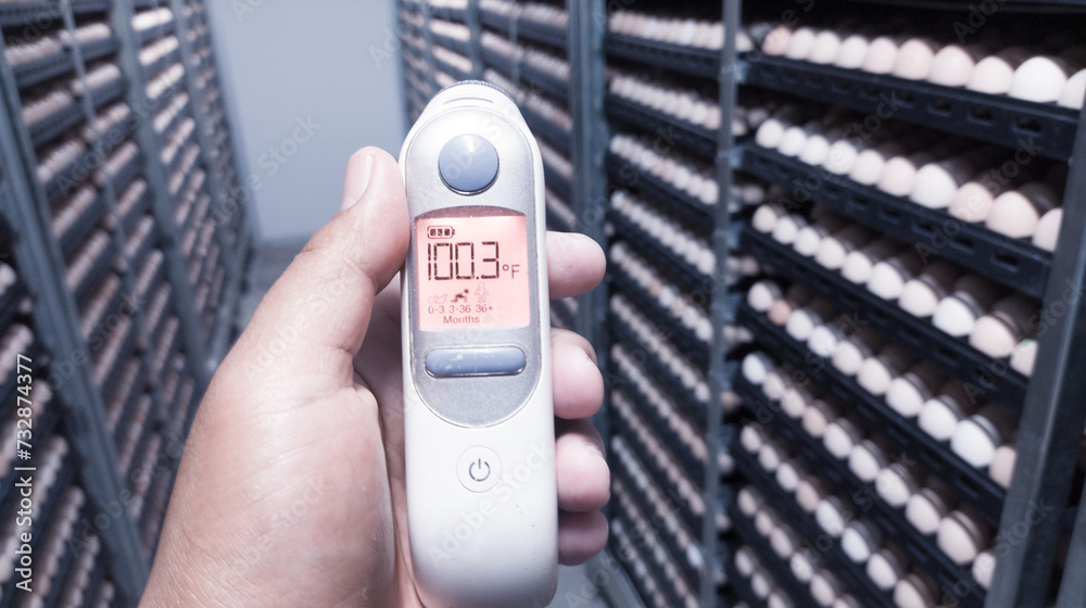 Quality control is measuring the temperature shell of the eggs in the ...