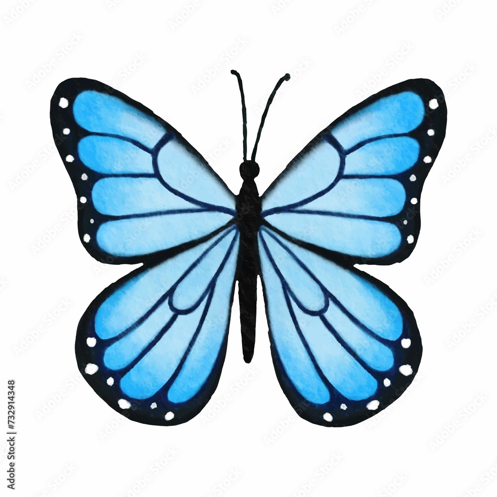 Monarch Butterfly with open wings in a top view as a flying migratory ...