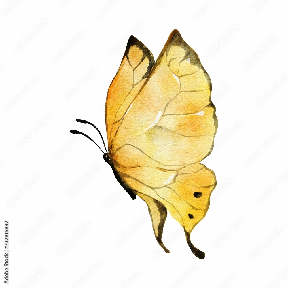 Illustrazione Stock Monarch Butterfly with open wings in a top view as ...