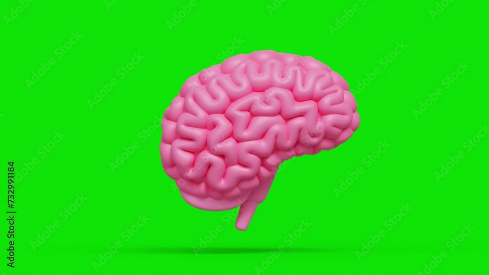 3D human brain loop animation for chroma key use. Psychology, mental ...