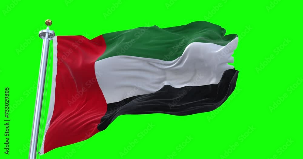 United Arab Emirates flag realistic waving in the wind 4K video, green ...