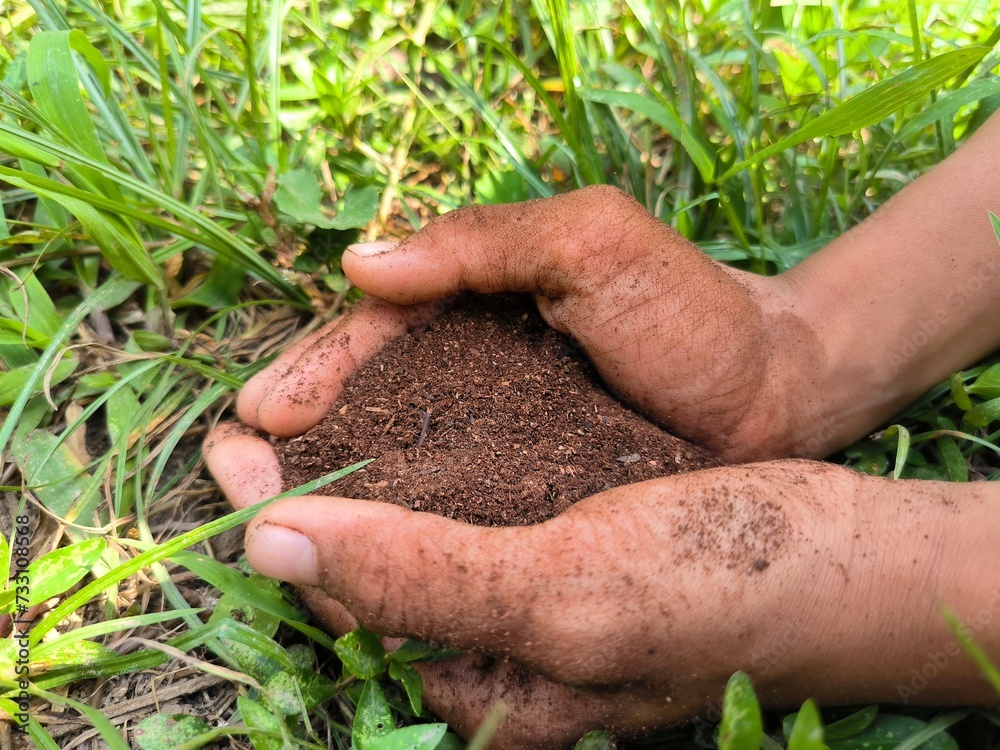 Hand holding soils plant garden farming agriculture organic farm ...