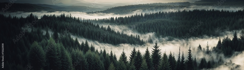 Misty woodland with tall trees and fog-shrouded mountains. Tranquil forest landscape, nature ...