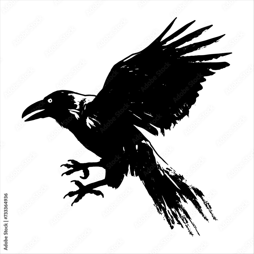 Detailed crows painted in ink on a white background. Crow wings, grunge ...