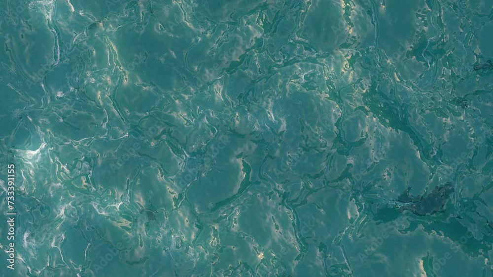 Vidéo Stock sun reflection on a river. 3d animation of a river at ...