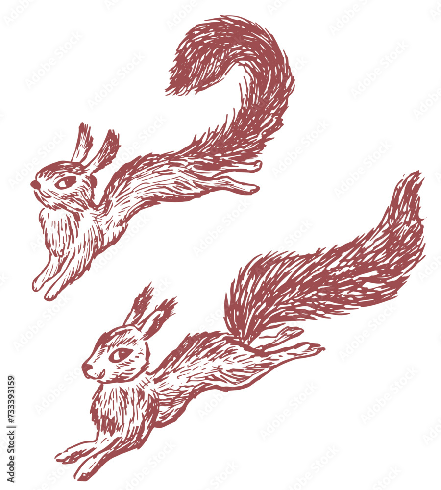 Hand drawing of cartoon red jumping wild forest squirrels with big ...