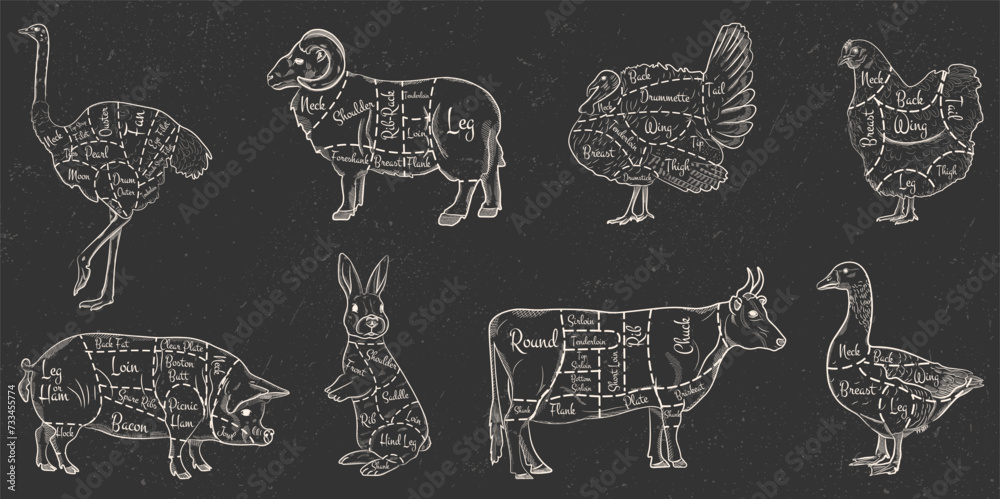A set of animal cuts for the butcher shop. Beef, cow, goose, pork, ram ...