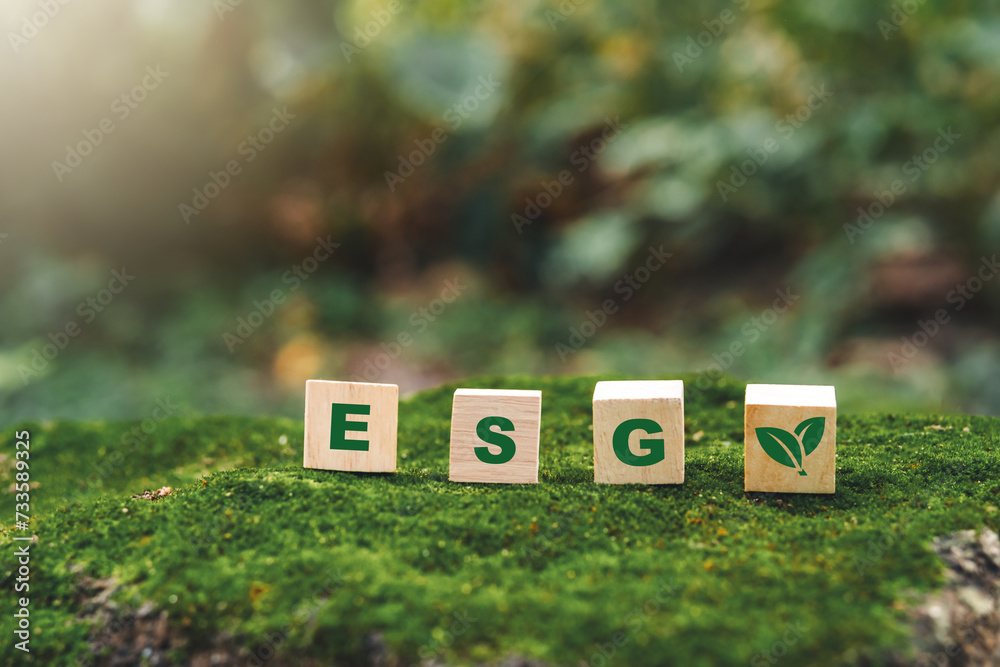 Foto de ESG concept ,Sustainable development goal (SDGs) Ideas for Sustainable development wood ...